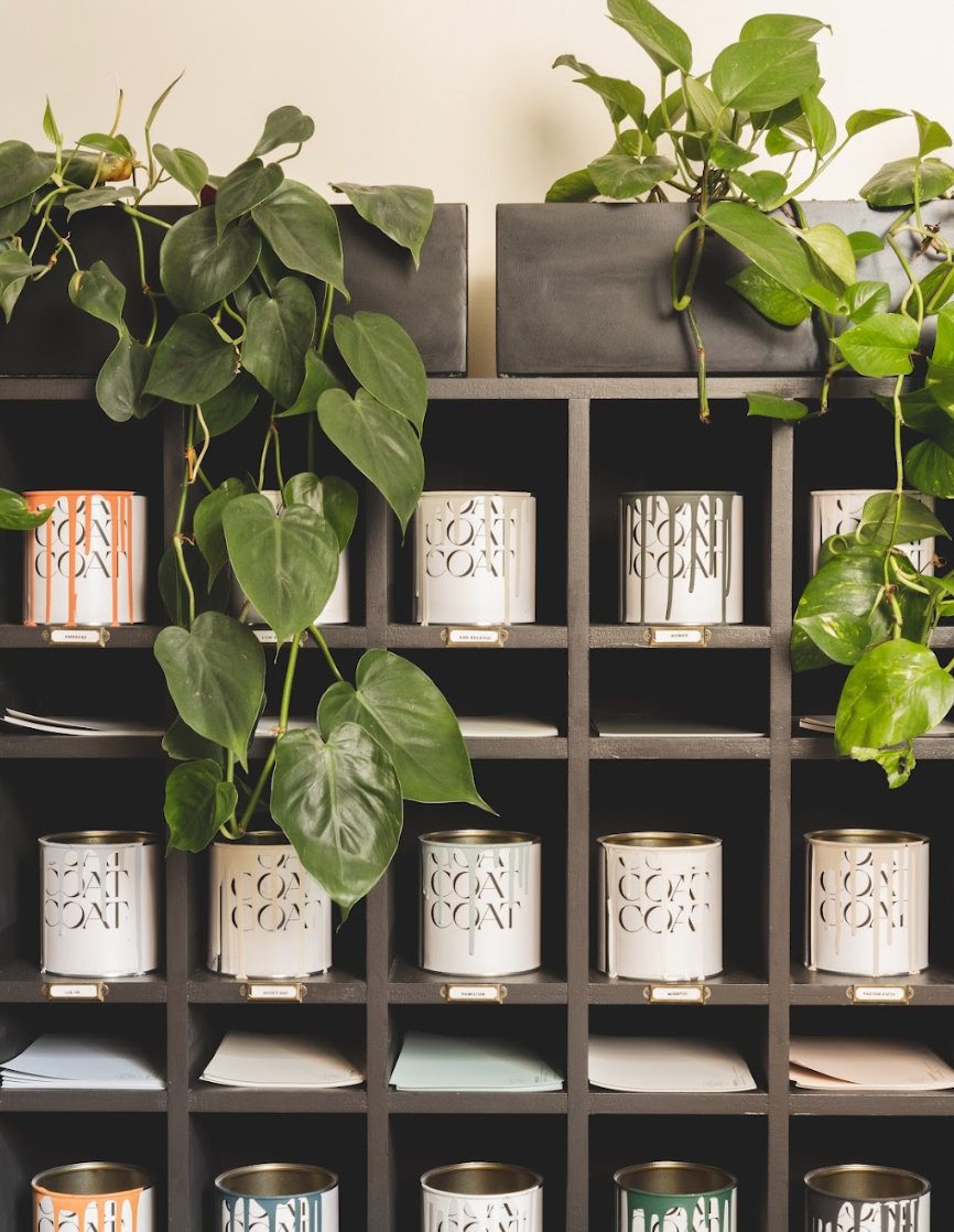 Coat Paints Plant Design Project with Leaf Envy | Plants for Offices