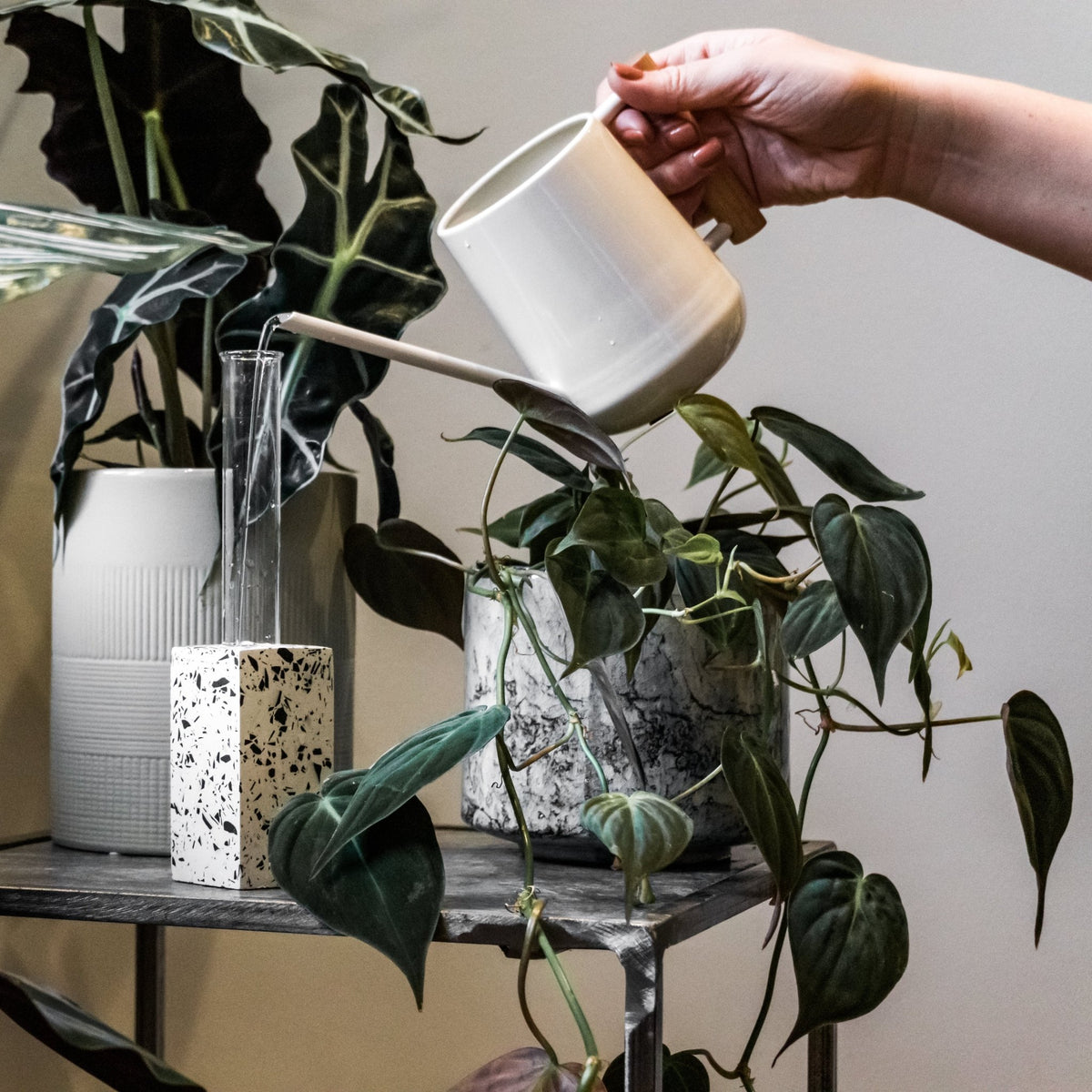 The benefits of plant therapy – Leaf Envy