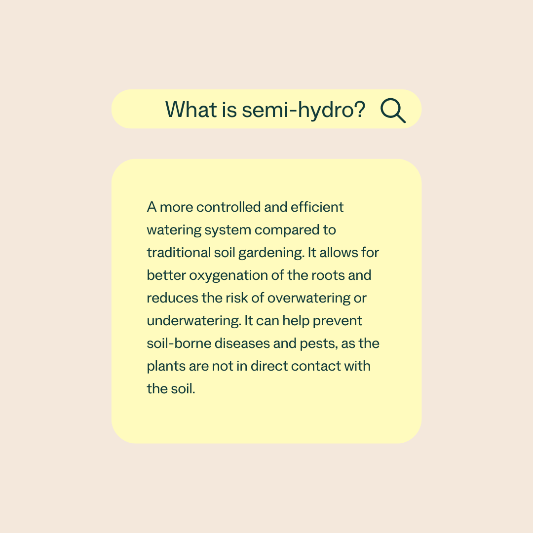 What is a Semi-Hydro Plant Display? – Leaf Envy