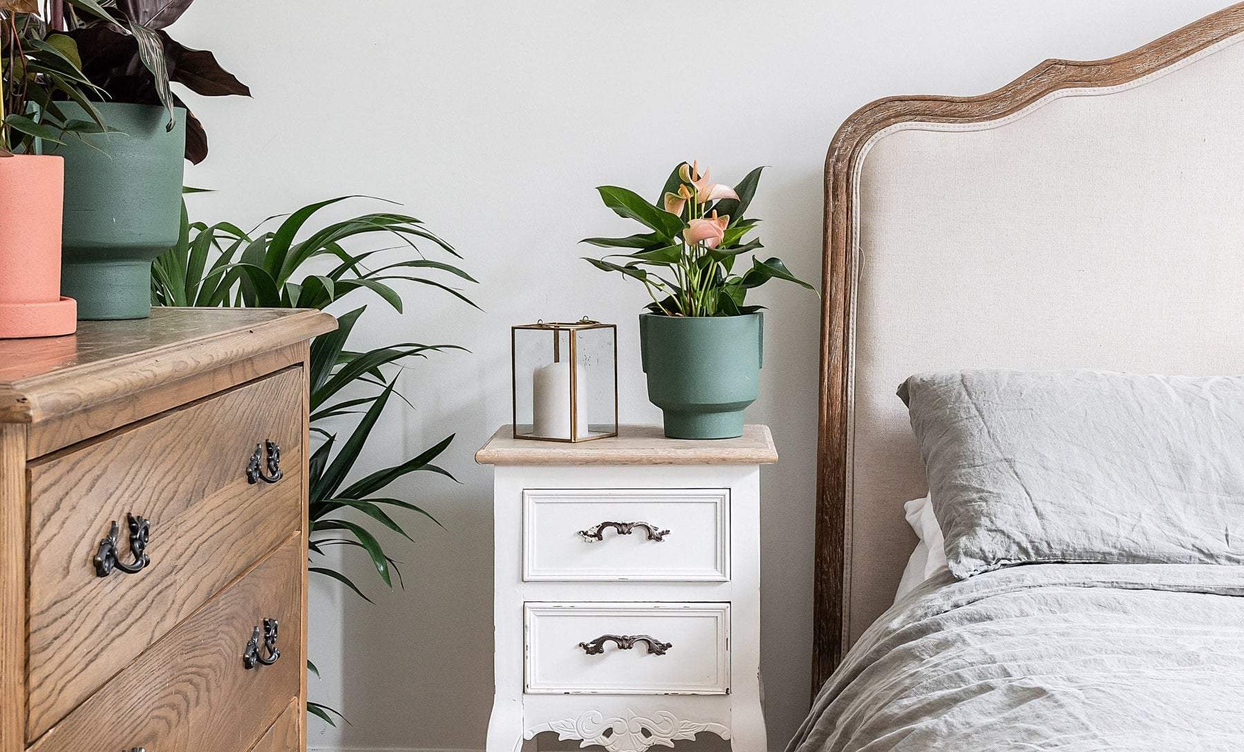 Breathe life into your bedroom with plants | Roomscape by Leaf Envy