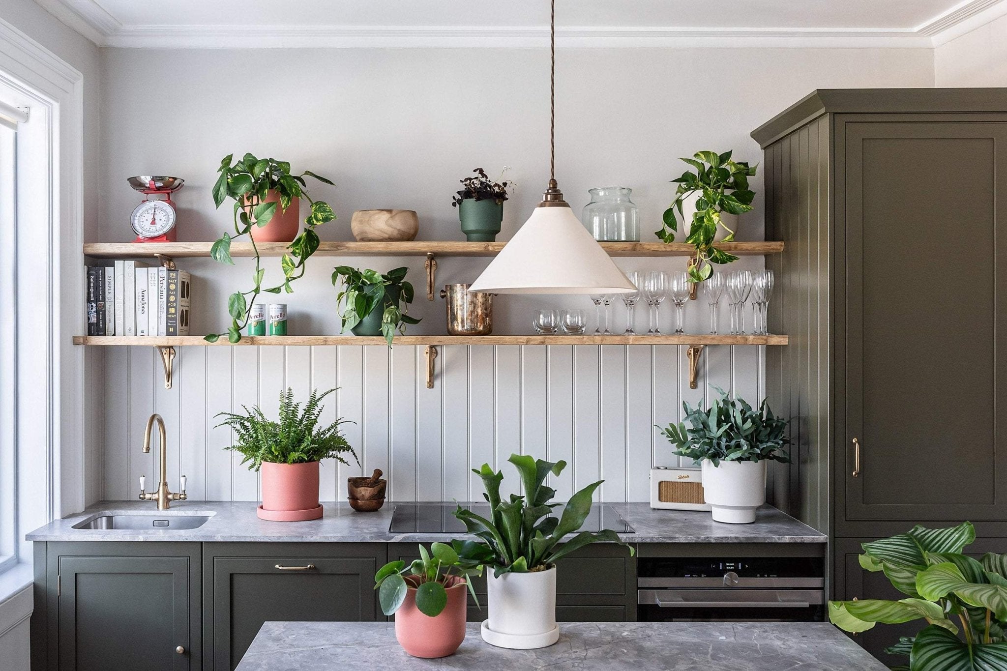 Create calm in the kitchen | The best plants for the kitchen ...