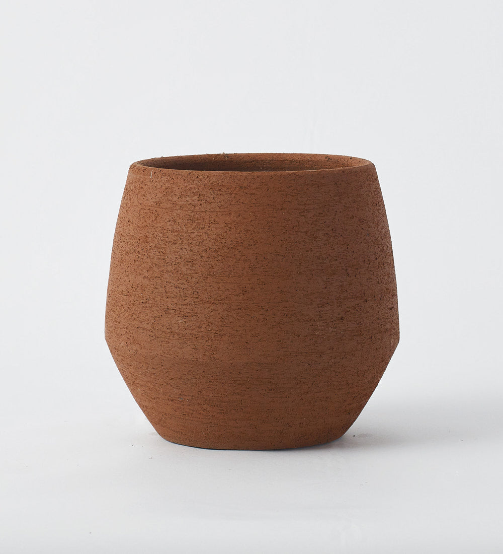 Terra Humus 15cm Pot