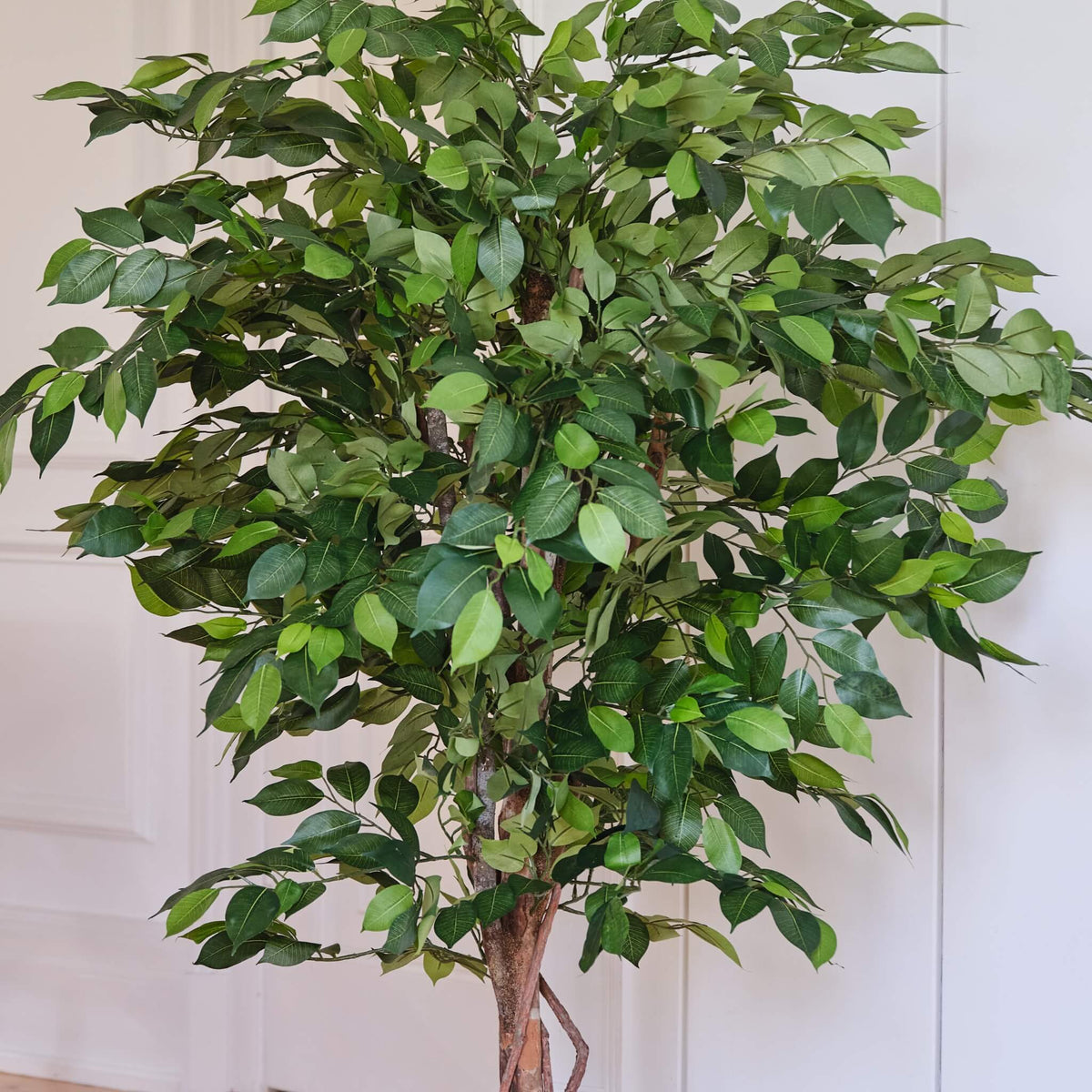 Artificial African Fig Tree – Leaf Envy