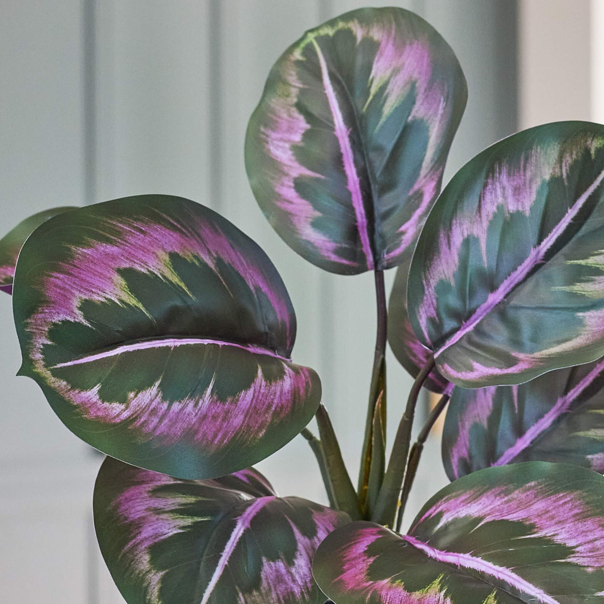 Artificial Rose Painted Calathea – Leaf Envy