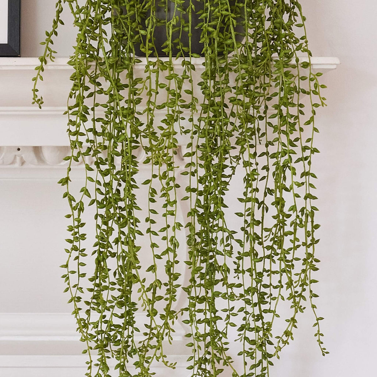 Artificial String of Pearls Hanging – Leaf Envy